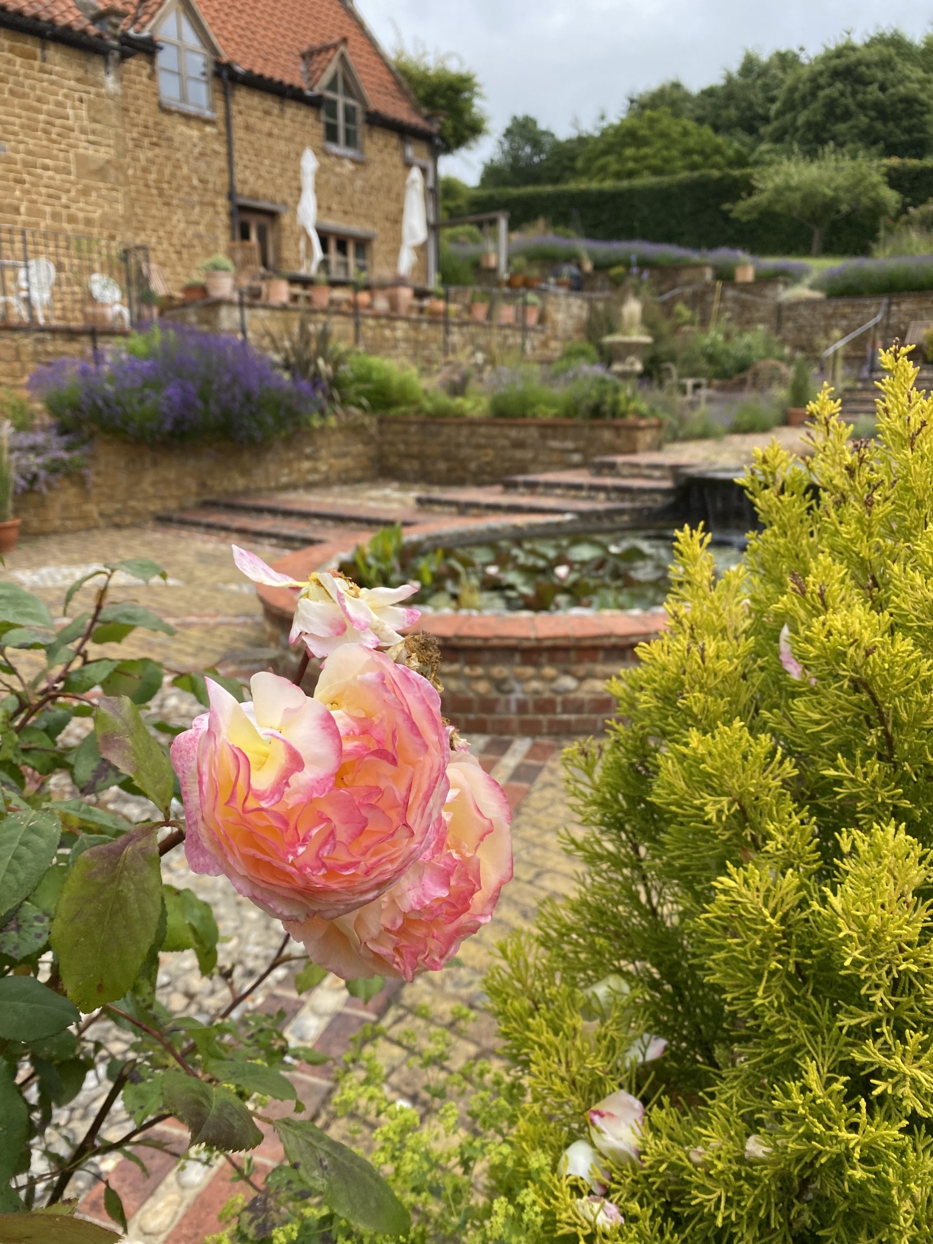 The Cotswolds Huddle went wild at Heath Farm ∙ July 2024